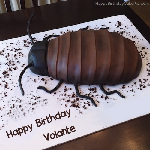 ️ Cockroach Birthday Cake For Volante